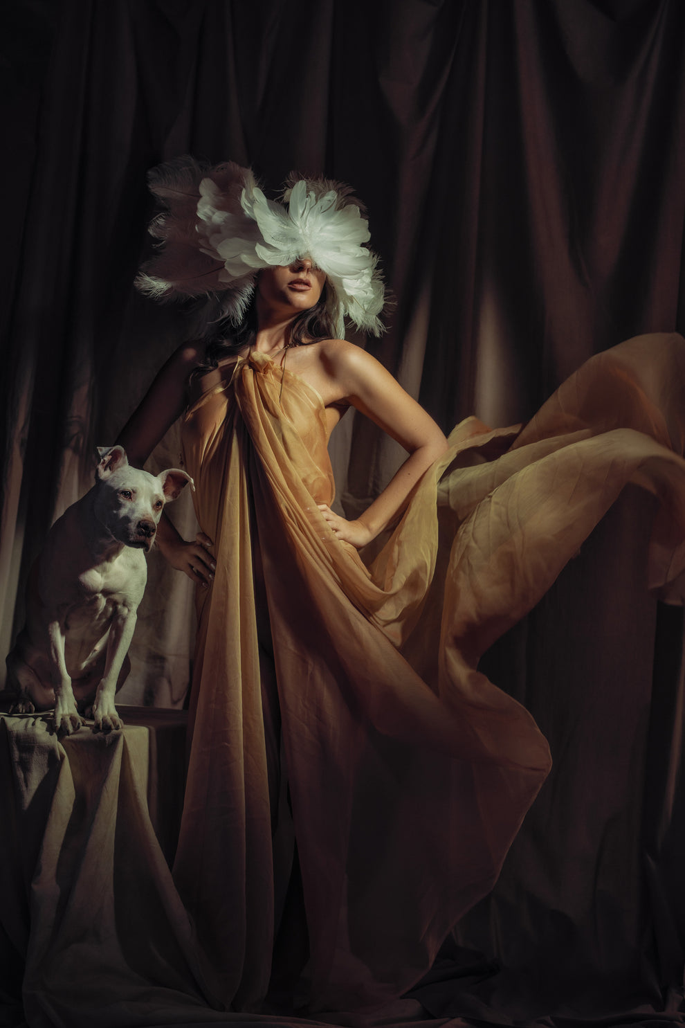 Couture Angel Wings, Gowns & Designs | Kayla Douglas Artistry